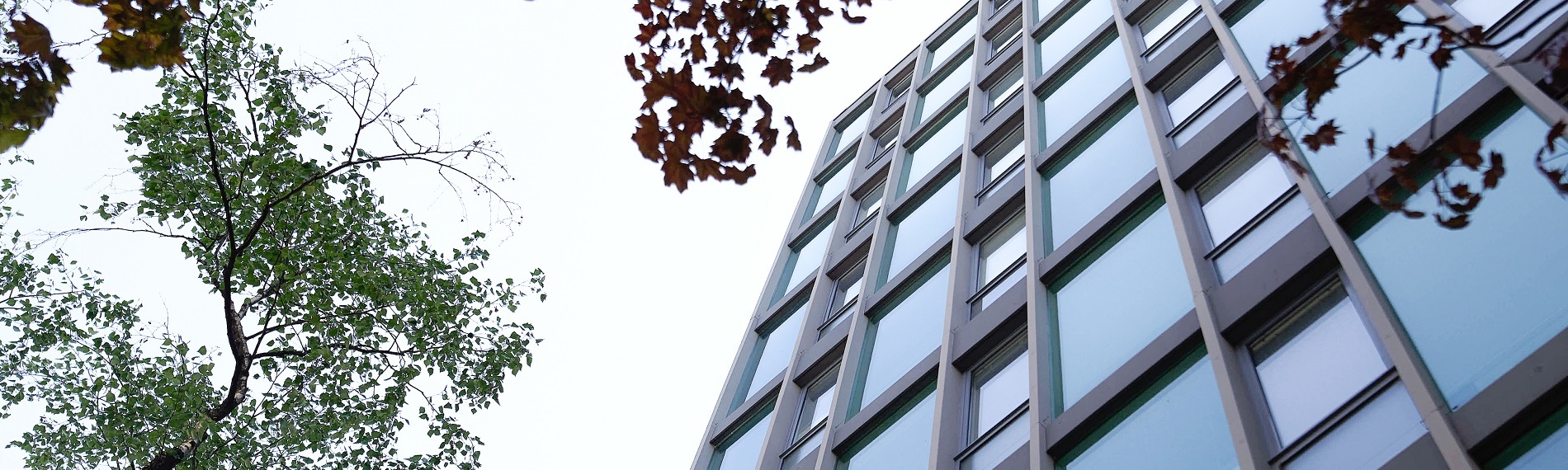 FBT - Cabinet d' avocats implanté à Genève et à Paris